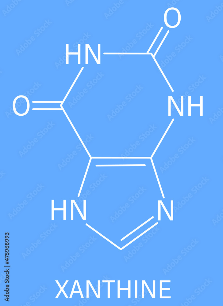 Xanthine purine base molecule. Skeletal formula. Stock Vector | Adobe Stock