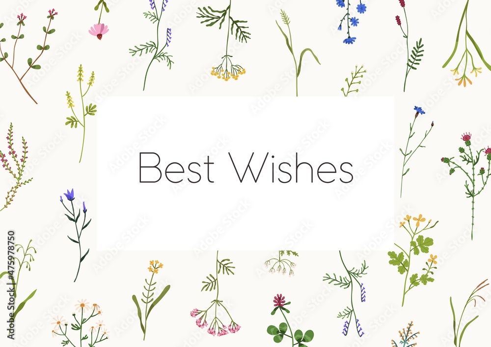 Floral card design with wild flower frame. Botanical herbal postcard ...