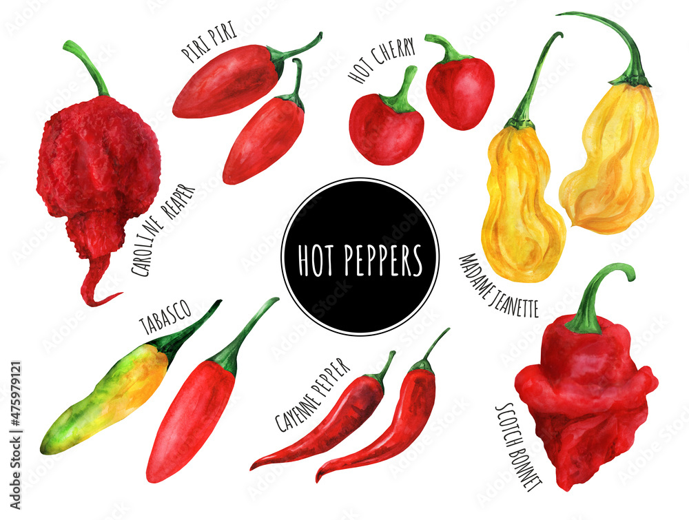 Types Of Peppers With Pictures