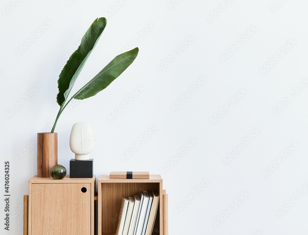 Modern composition of living room interior with design wooden bookcase ...