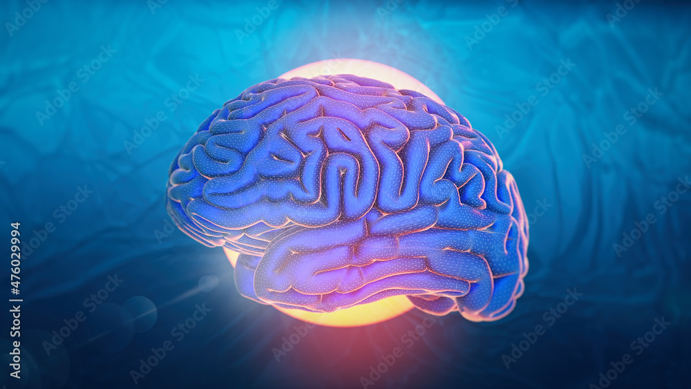 Human brain 3D wireframe science abstract art with blurred glowing ...