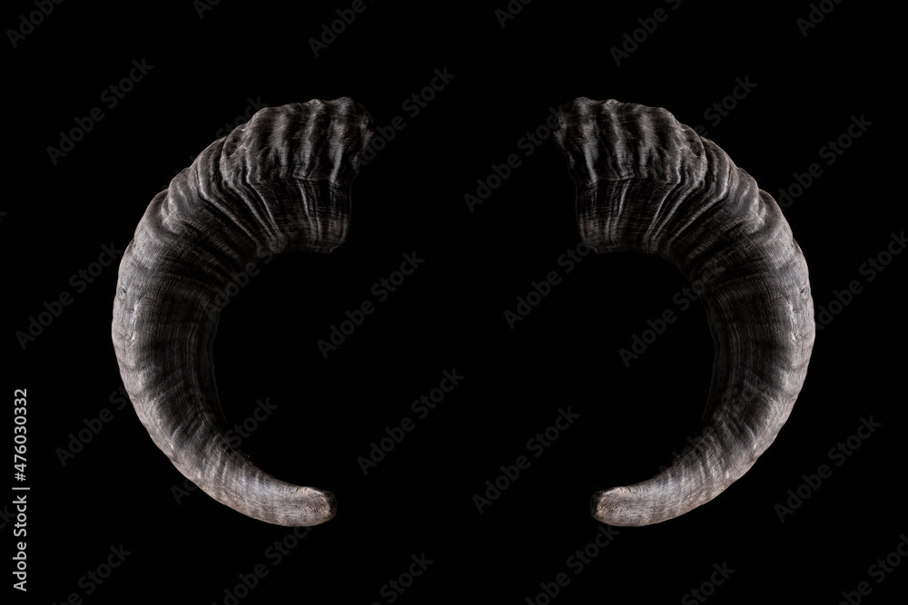 Ram horns isolated on black. Satanic, occult symbol. Stock Photo ...