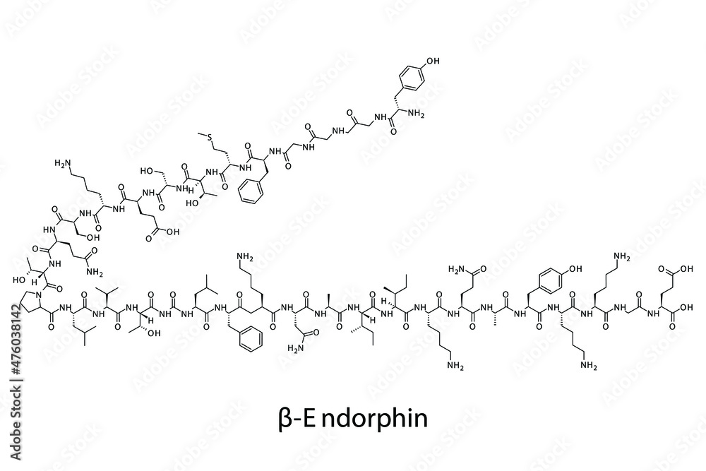Beta Endorphin biomolecule molecular formula. Skeletal molecule ...