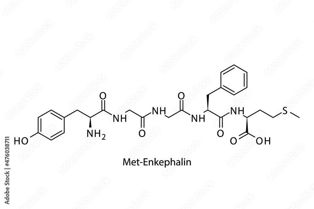 Met Enkephalin biomolecule molecular formula. Skeletal molecule ...