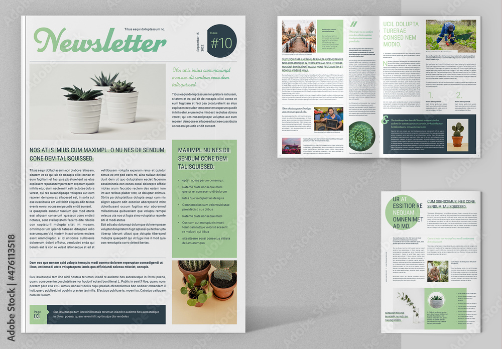 Newsletter Layout with Green Accents Stock Template | Adobe Stock