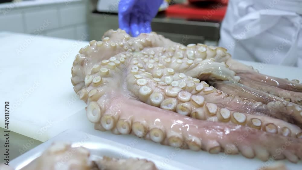 Vidéo Stock Close-up of an octopus. The chef in blue gloves puts the ...