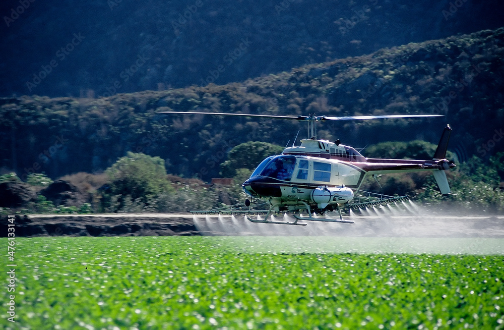 Crop dusting helicopter spraying crops. Stock-Foto | Adobe Stock