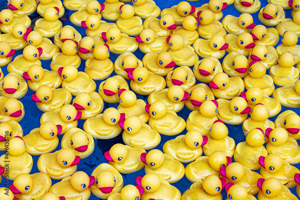 Dozens of Yellow Rubber Ducks Are Floating as Part of a Carnival Game ...