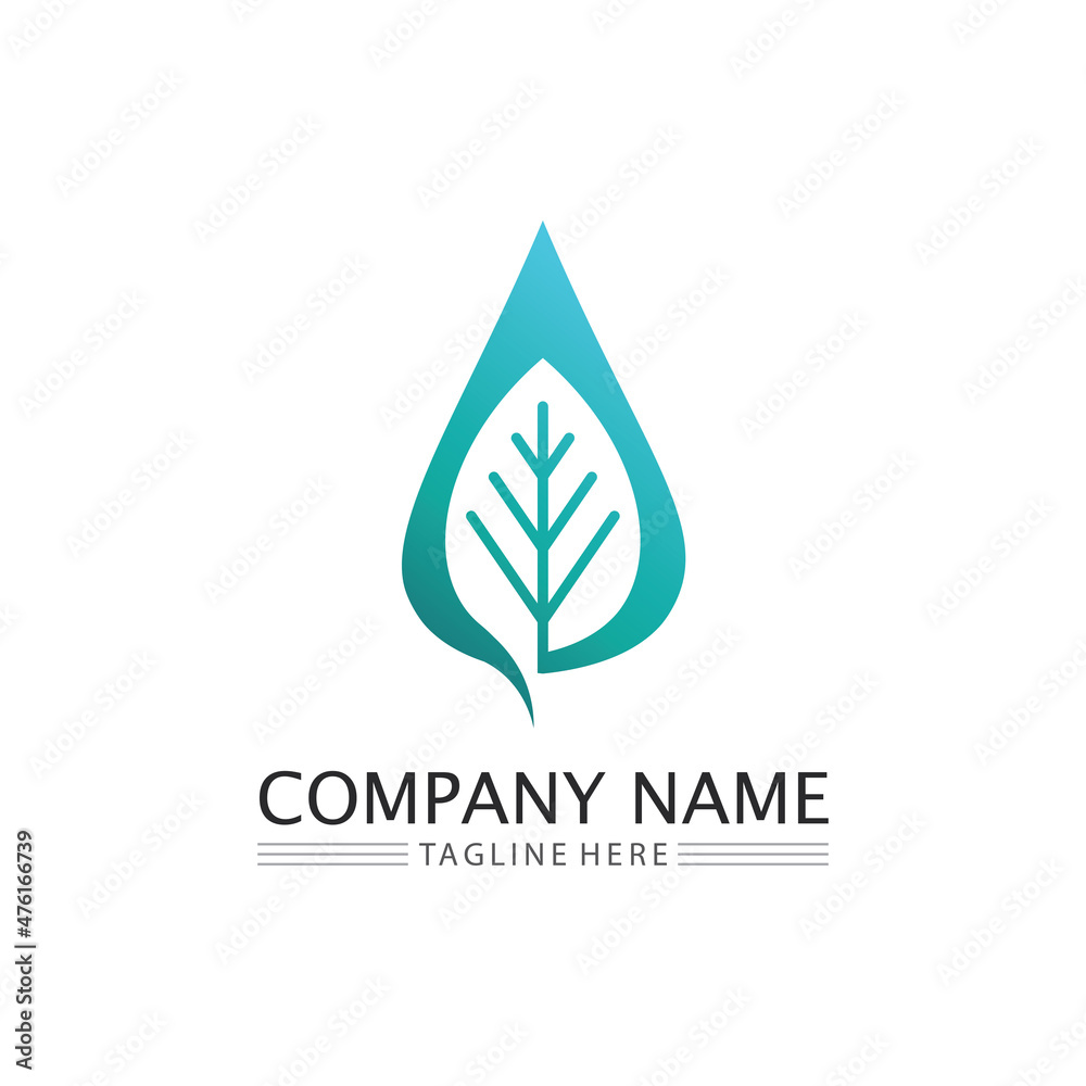 tree leaf Logos and vector design of green Tree leaf ecology Stock ...