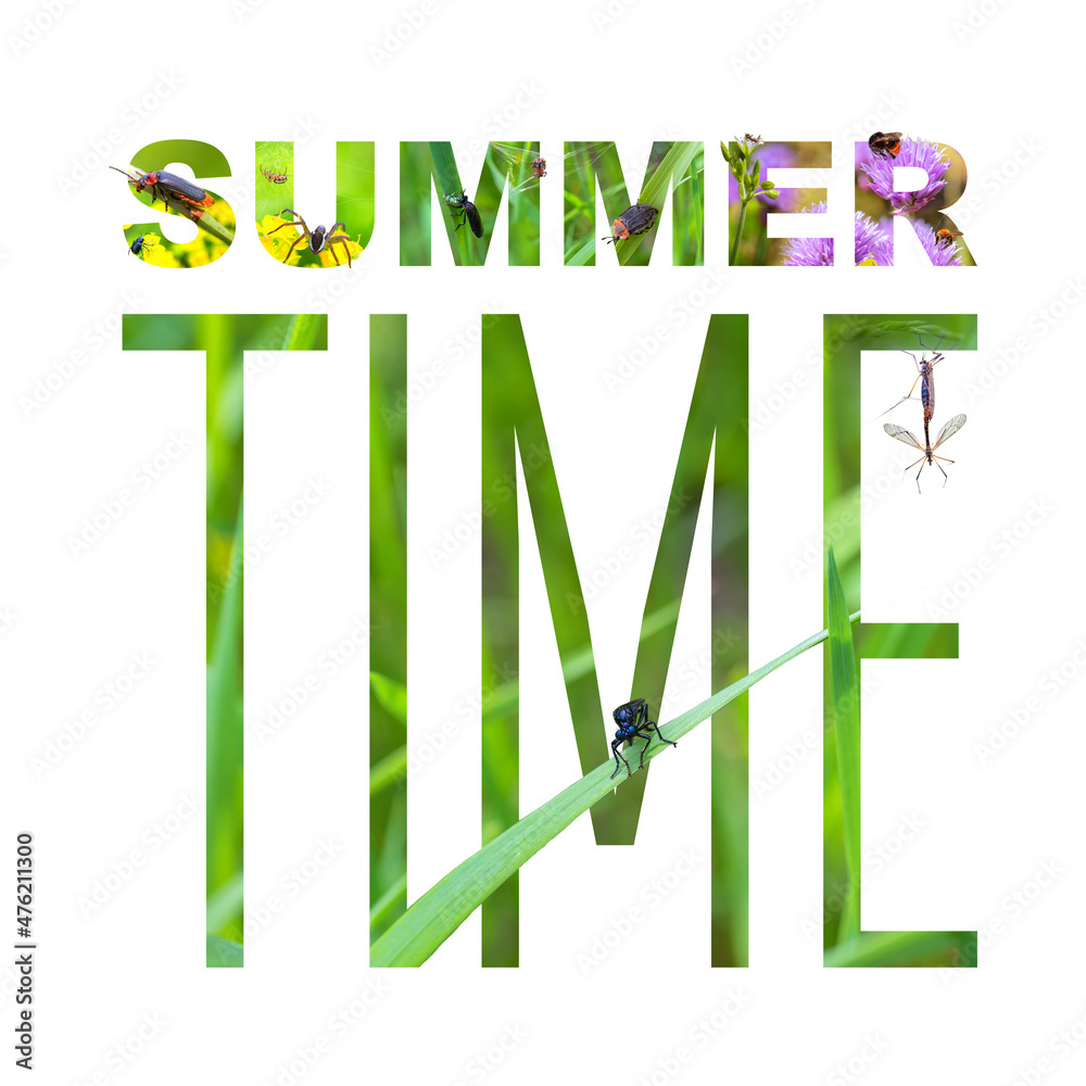 Summer time poster. A collage of photos on a summer theme. Element for ...