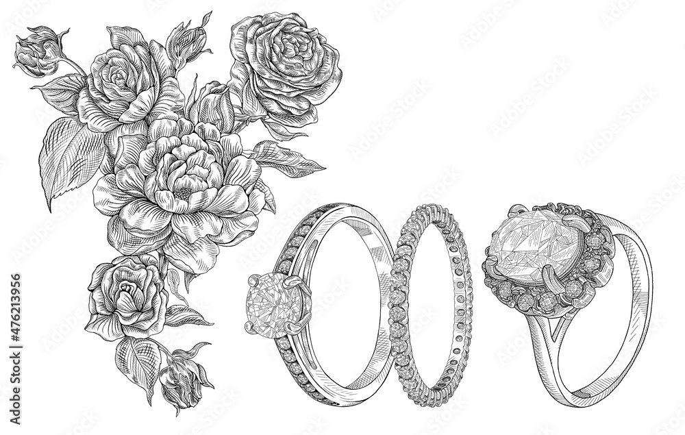 Pencil drawing of a rings with precious stones and roses on a white ...