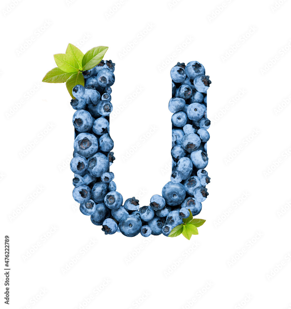 Letter U, made with fresh blueberries isolated on white. Bluberries ...