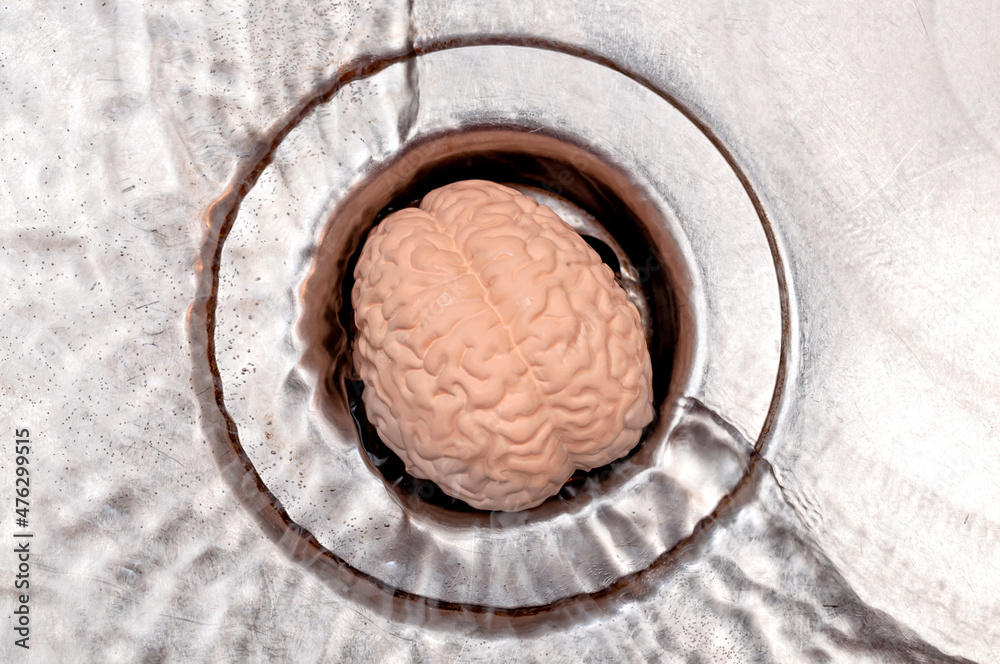 Brain drain, knowledge and creativity waste and loss of intellect ...