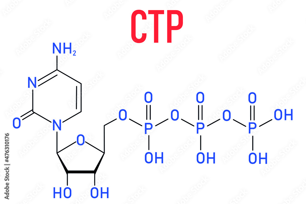 Ctp Structure