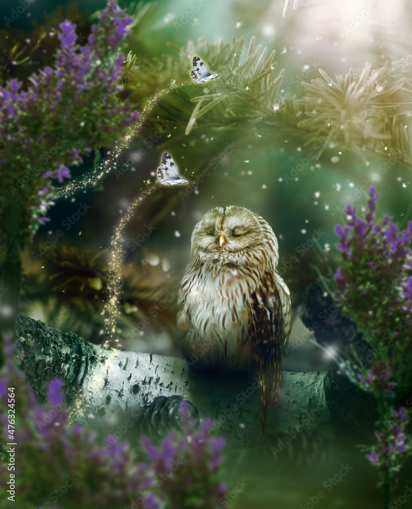Owl sleeping in fantasy enchanted fairy tale forest and two flying ...