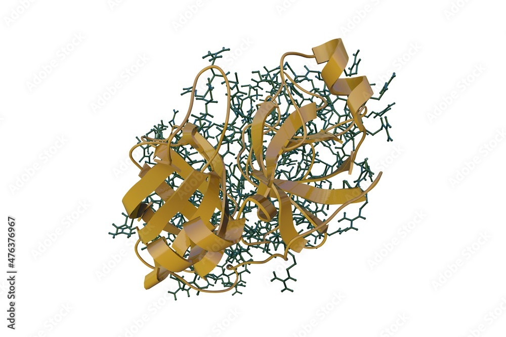 Crystal structure and molecular model of human cathepsin G isolated on ...
