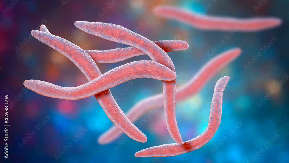 Fusobacterium, 3D illustration. An oral bacterium that causes ...