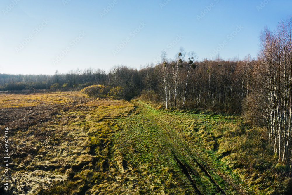 Grass swamp top view background. Autumn outdoor sunny day. Wet ground ...