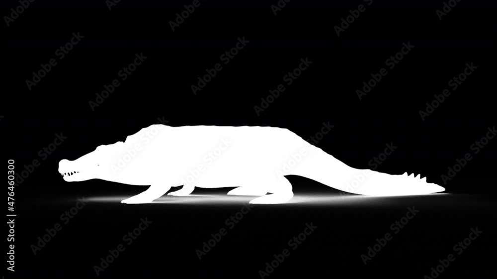 Alligator walking loop on white screen in side view with alpha path.3D ...