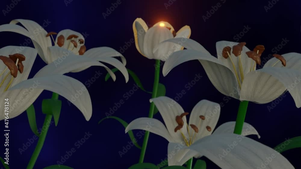 Magical lily in dark forest. Blue background. Magic animation. Magical ...