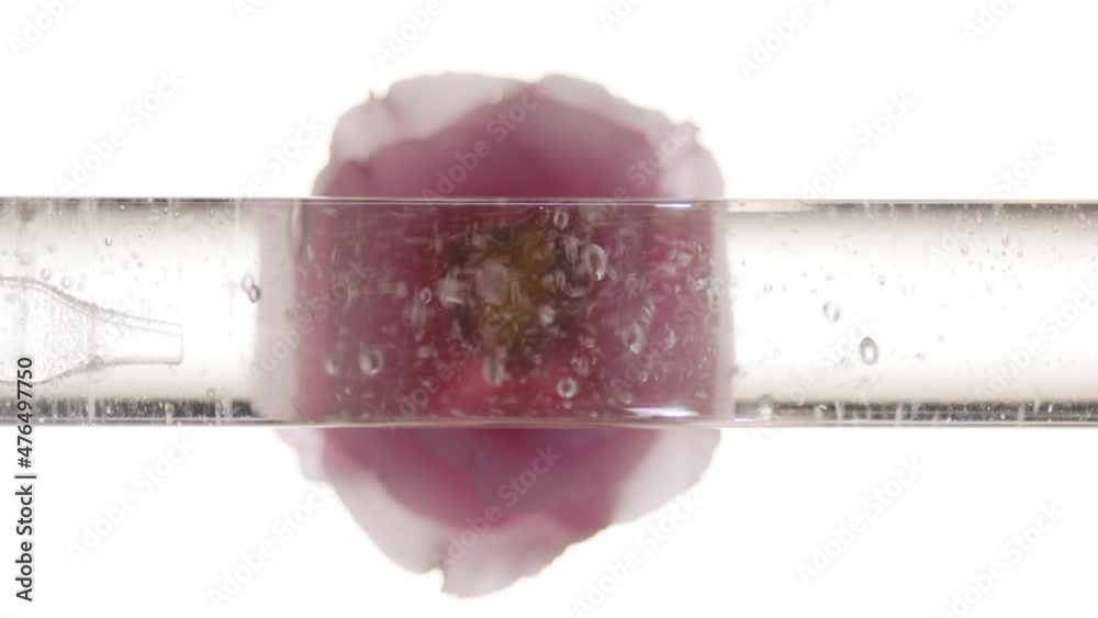 Macro shot of glycerin is dripped from lab dropper into glass tube with ...