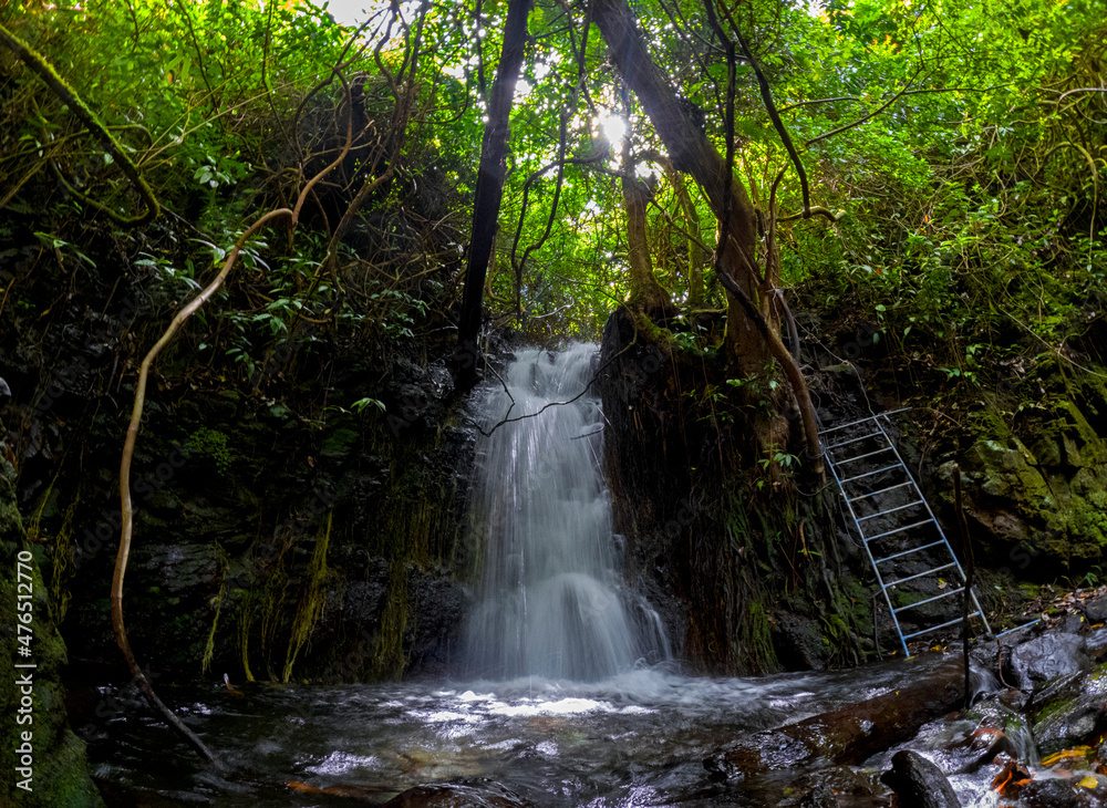 View of Jamblon waterfall (Cascade Jamblon) hidden in a forest located ...