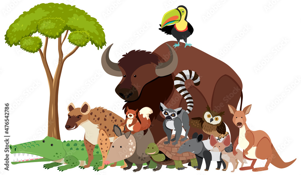 Cartoon wild animals in flat style Stock Vector | Adobe Stock