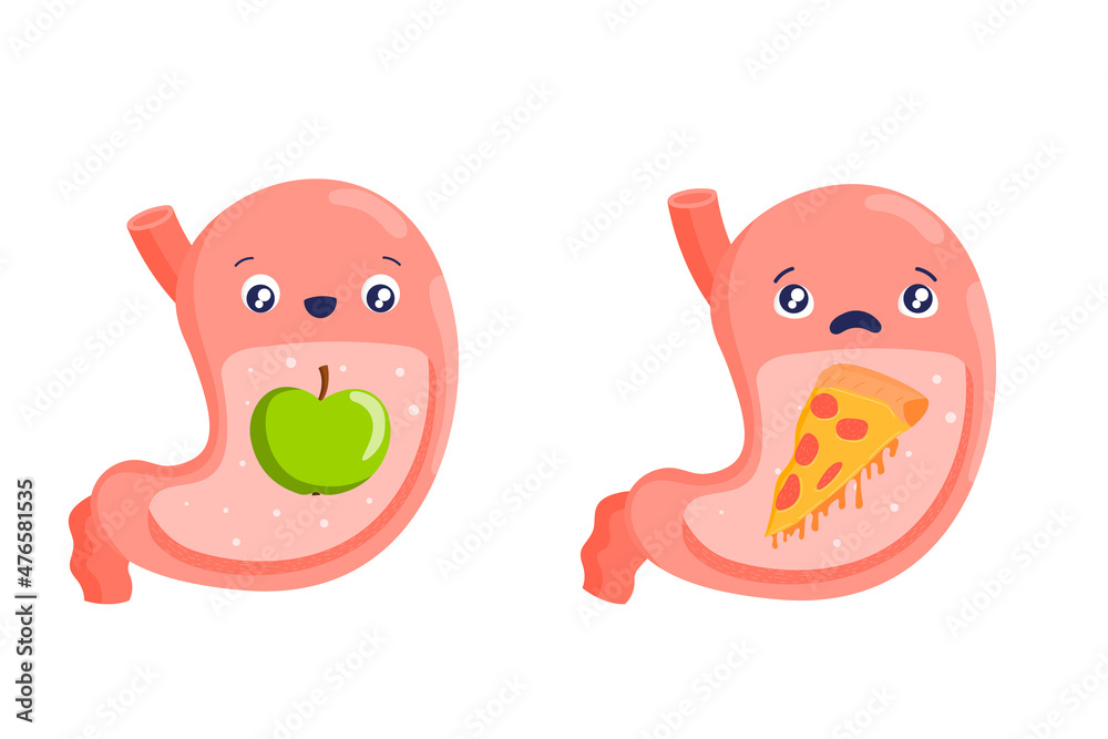 Stomach cartoon character. Healthy and proper nutrition. Cartoon ...