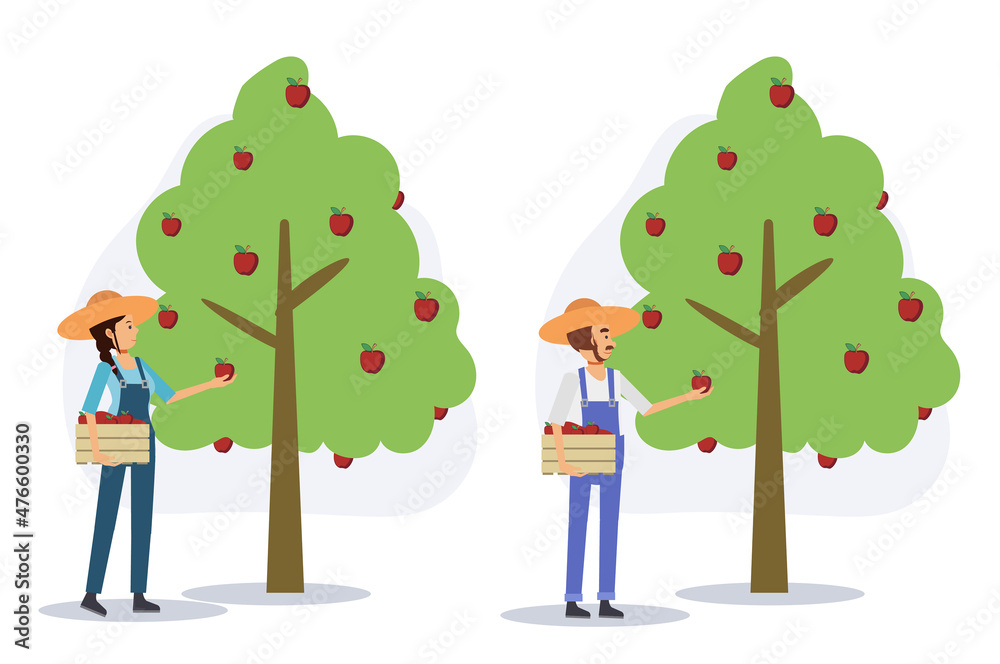 Set of a happy farmer is picking apples from apple tree. agriculture ...