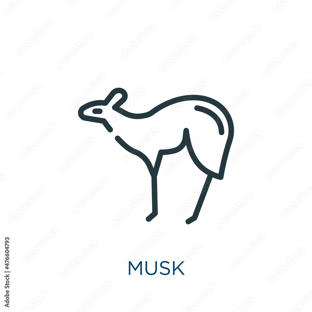 musk thin line icon. nature, natural linear icons from forest animals ...