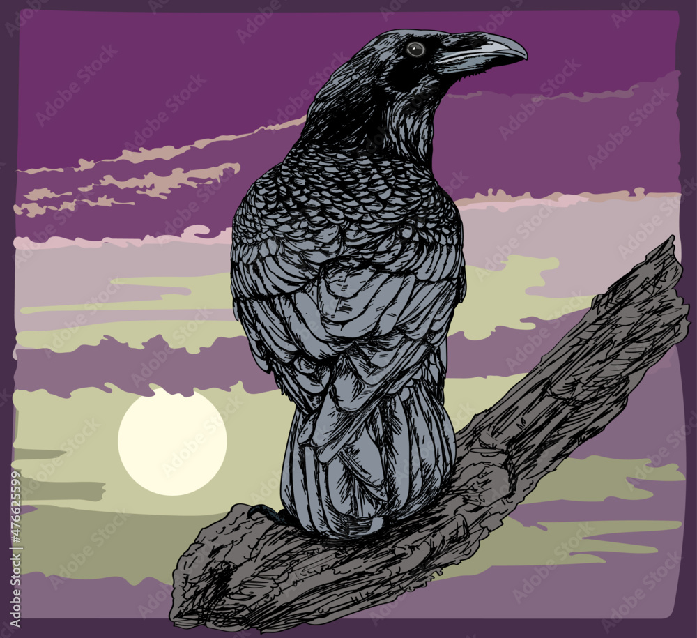 rabe, vektor illustration mit veränderbaren farben, cut-out Stock ...