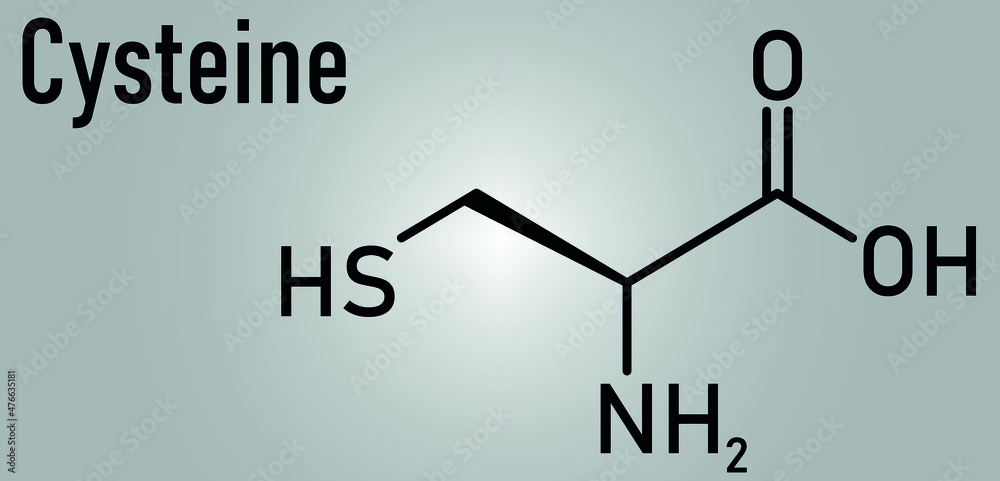 Cysteine or l-cysteine, Cys, C, amino acid molecule. Skeletal formula ...