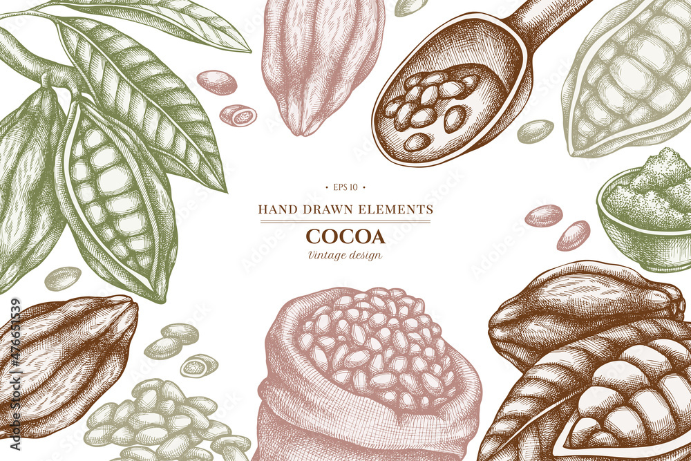 Design with pastel colored cocoa beans, cocoa Stock Vector | Adobe Stock
