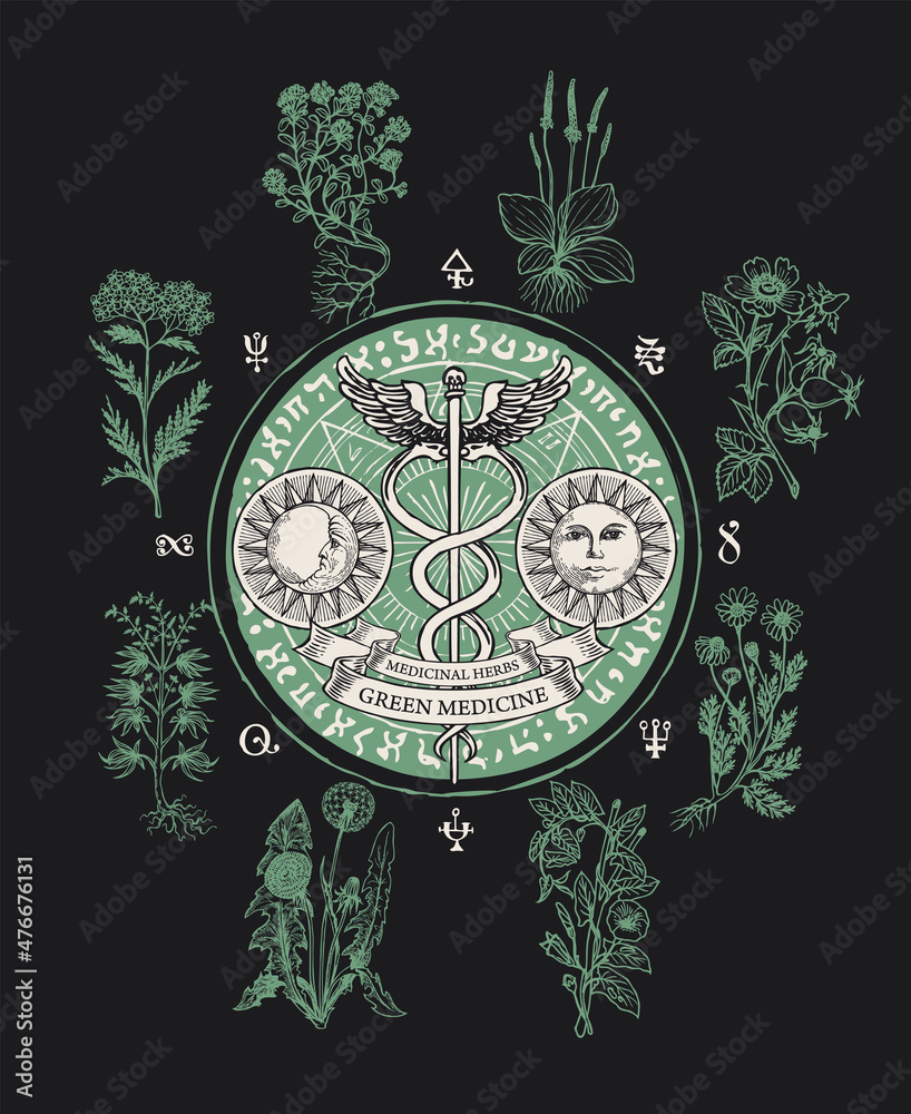 Vector banner on the theme of green medicine with caduceus, sun, moon ...