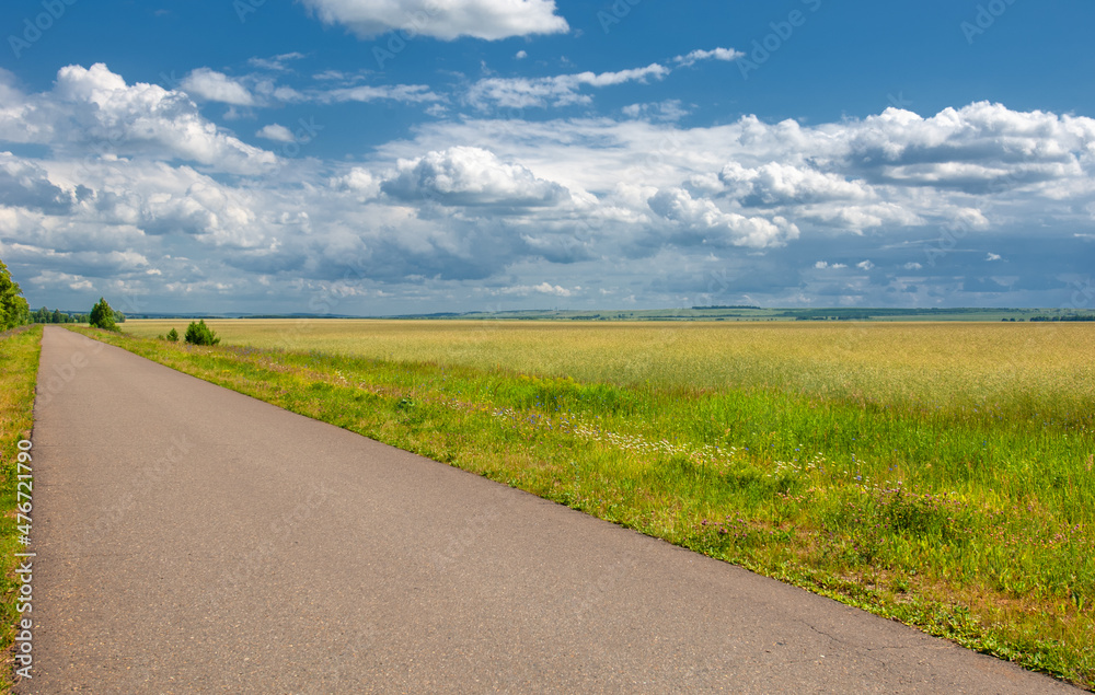 Fotografia do Stock: Summer landscape. A local road meanders among ...