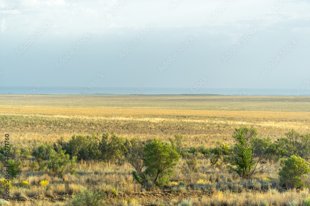 prairie, a steppe ecosystem considered part of grassland, savannah, and ...