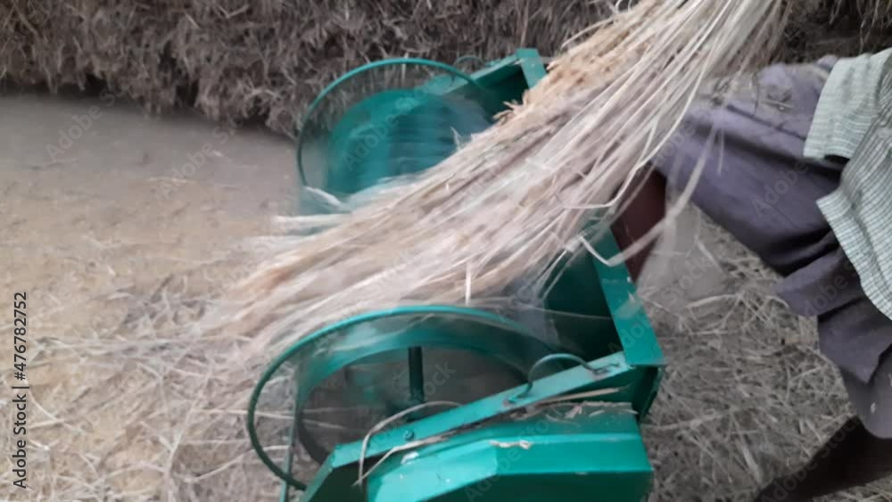 Paddy threshing machine. It is a foot-operated machine.This machine ...