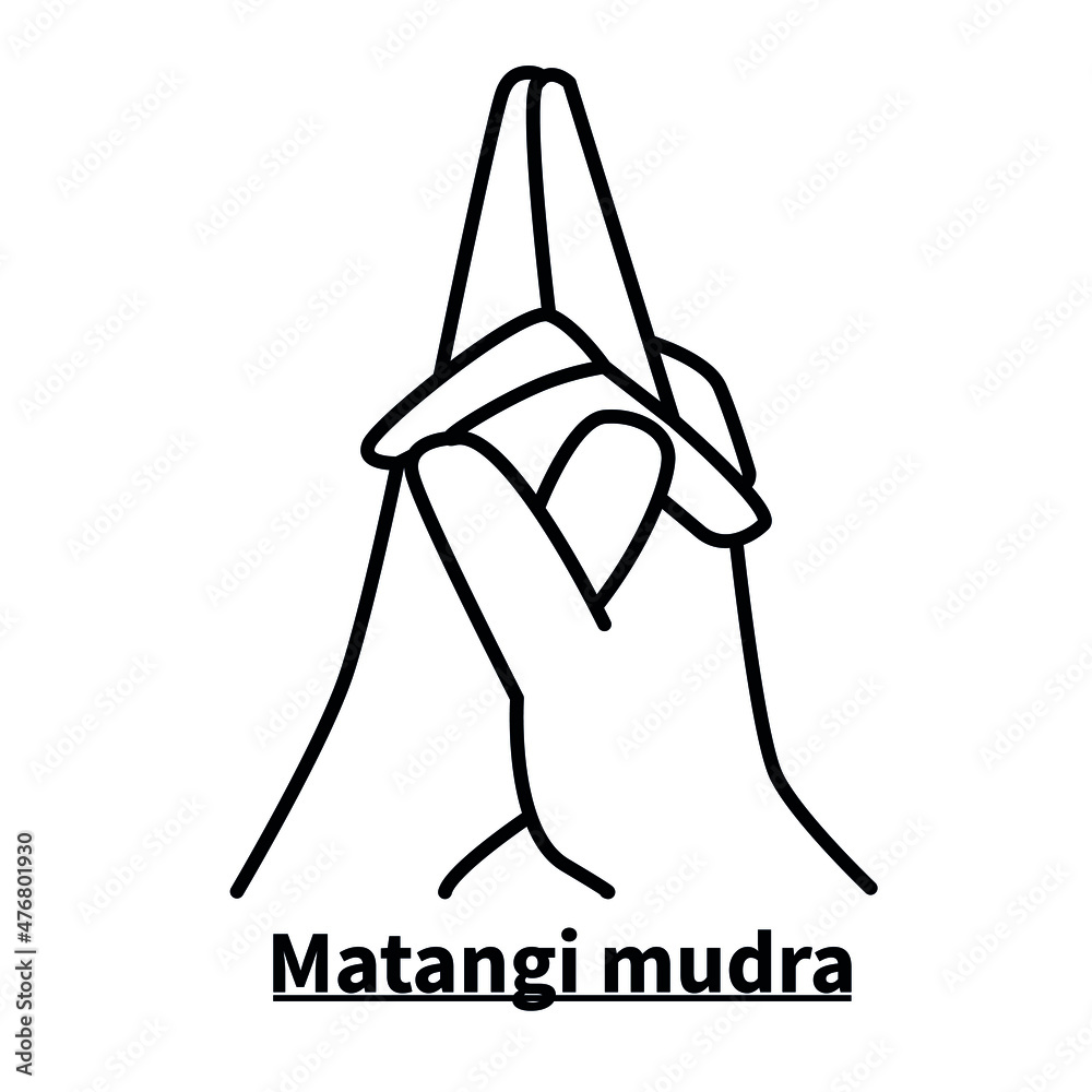 Matangi mudra, isolated on white background. Meditation technique for health. Correct placement ...