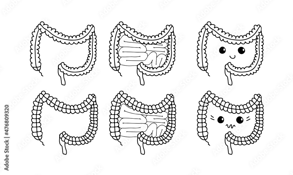 Simple gastrointestinal illustration set of bowel internal system ...