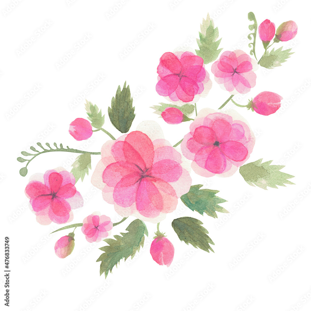 Watercolor transparent flower set, isolated on white collection of ...