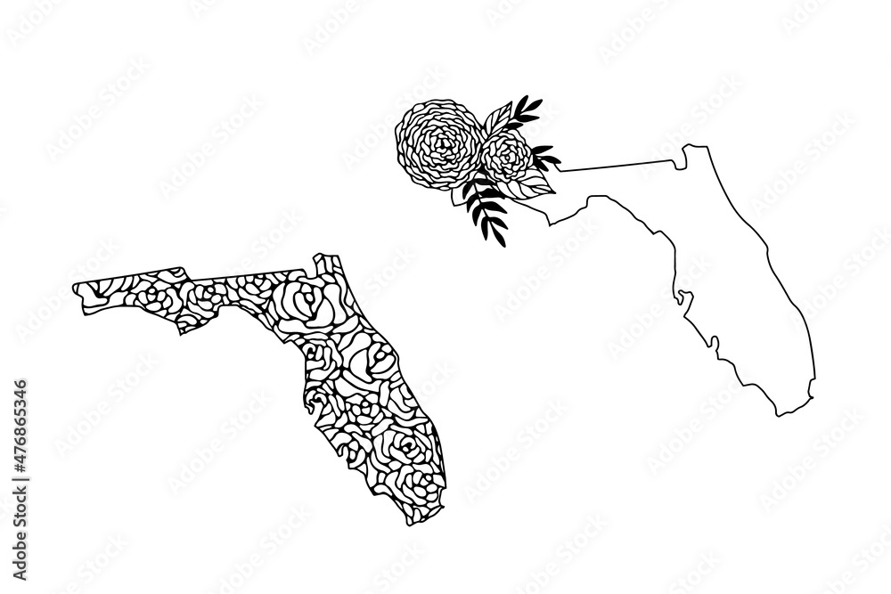 Political divisions of the US. State Florida. Floral map outlines on ...