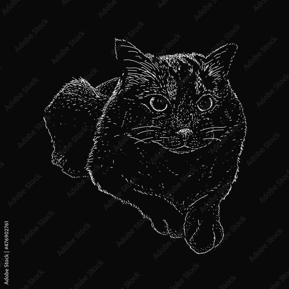 cat hand drawing vector illustration isolated on black background Stock ...