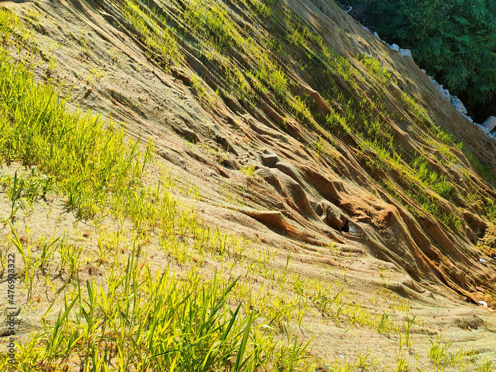 Permanent slope protection with grass using the hydroseed method. The ...