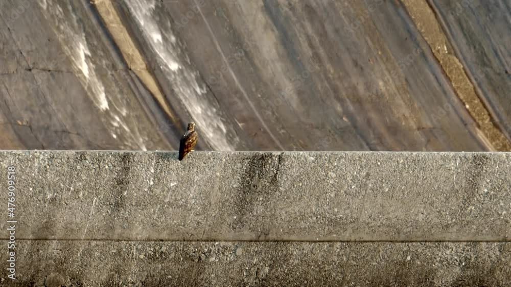 Stone cement concrete jetty wall built along spillway of hydro electric ...