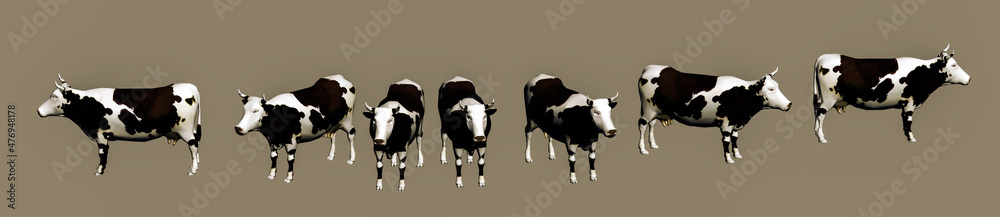 3D digital render view from different angles of cow | 3d animal ...