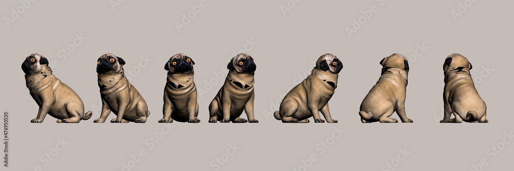 3D digital render view from different angles of dog, 3d animal, dog cow ...
