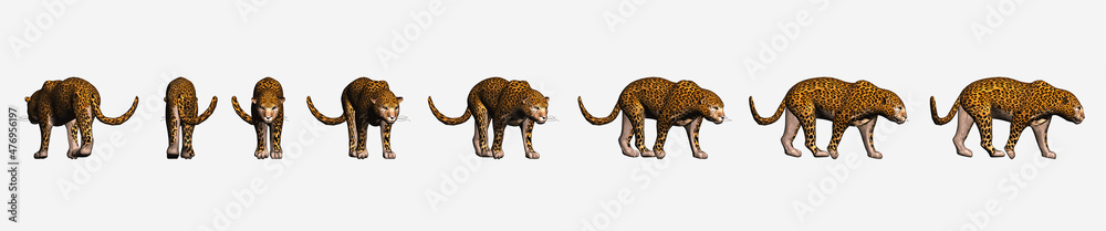 Leopard 3D Model | 3D digital render of leopard from diffrent agles ...