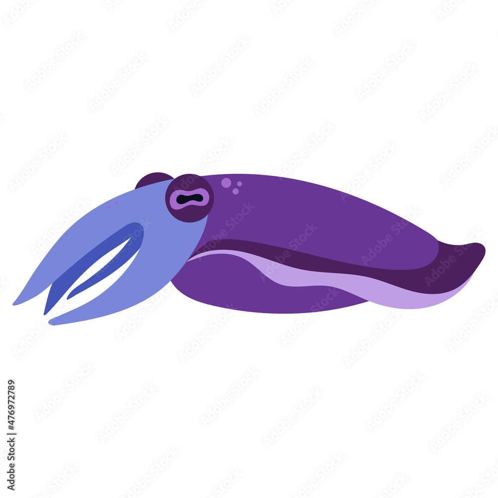 Beautiful cartoon illustration with colorful sea animals cuttlefish on ...