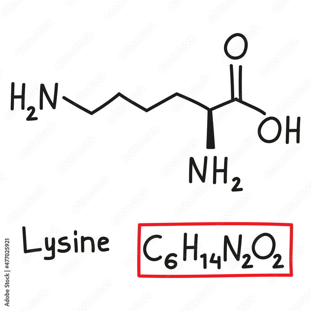 Hand drawn chemical molecular formula of amino acid Lysine in doodle ...