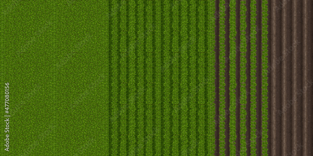 Top view of farm field with green grass and plowed soil. Vector cartoon ...